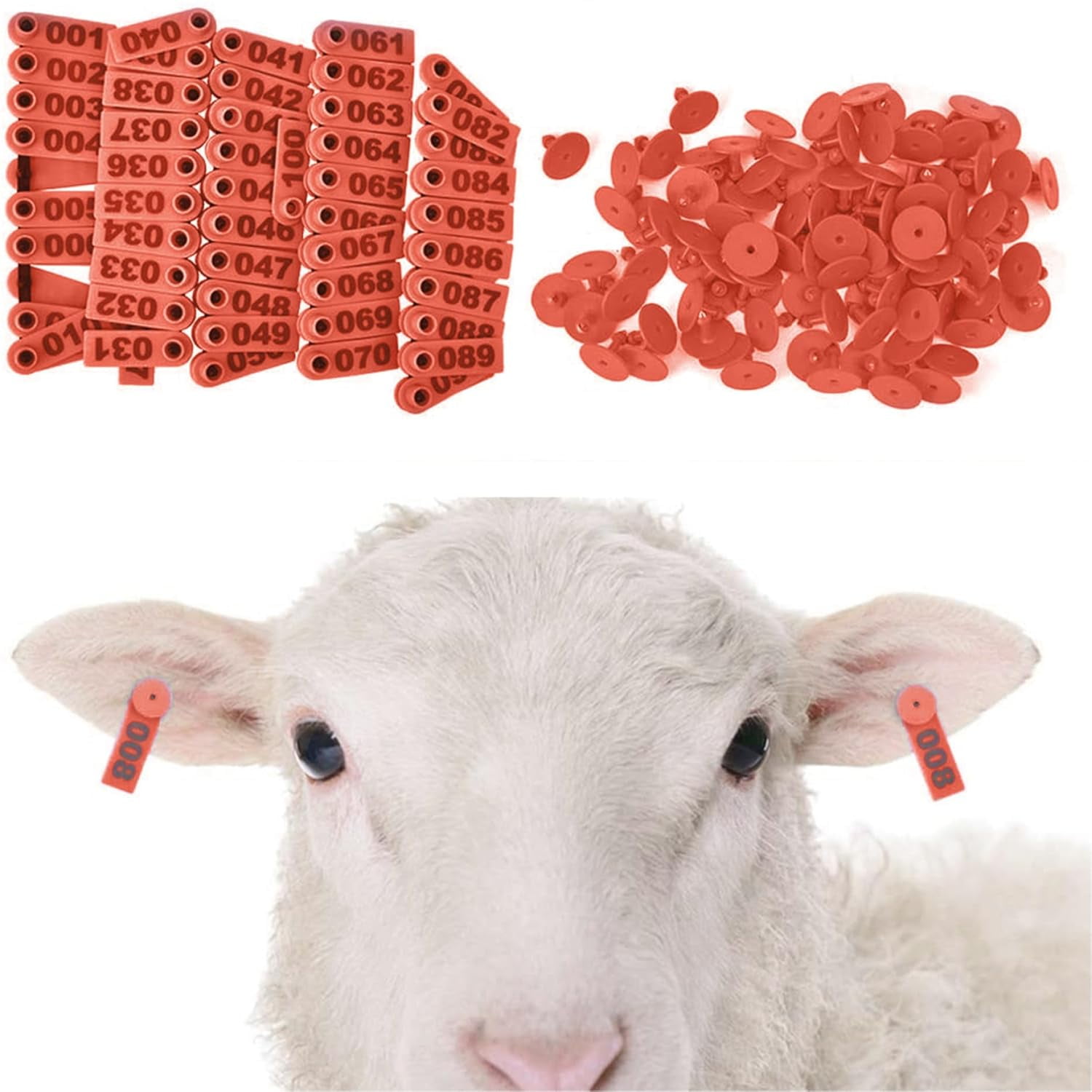 Cattle Ear Tags, 100Pcs Sheep Ear Tags 1-100 Numbers Sturdy Vibrant ...