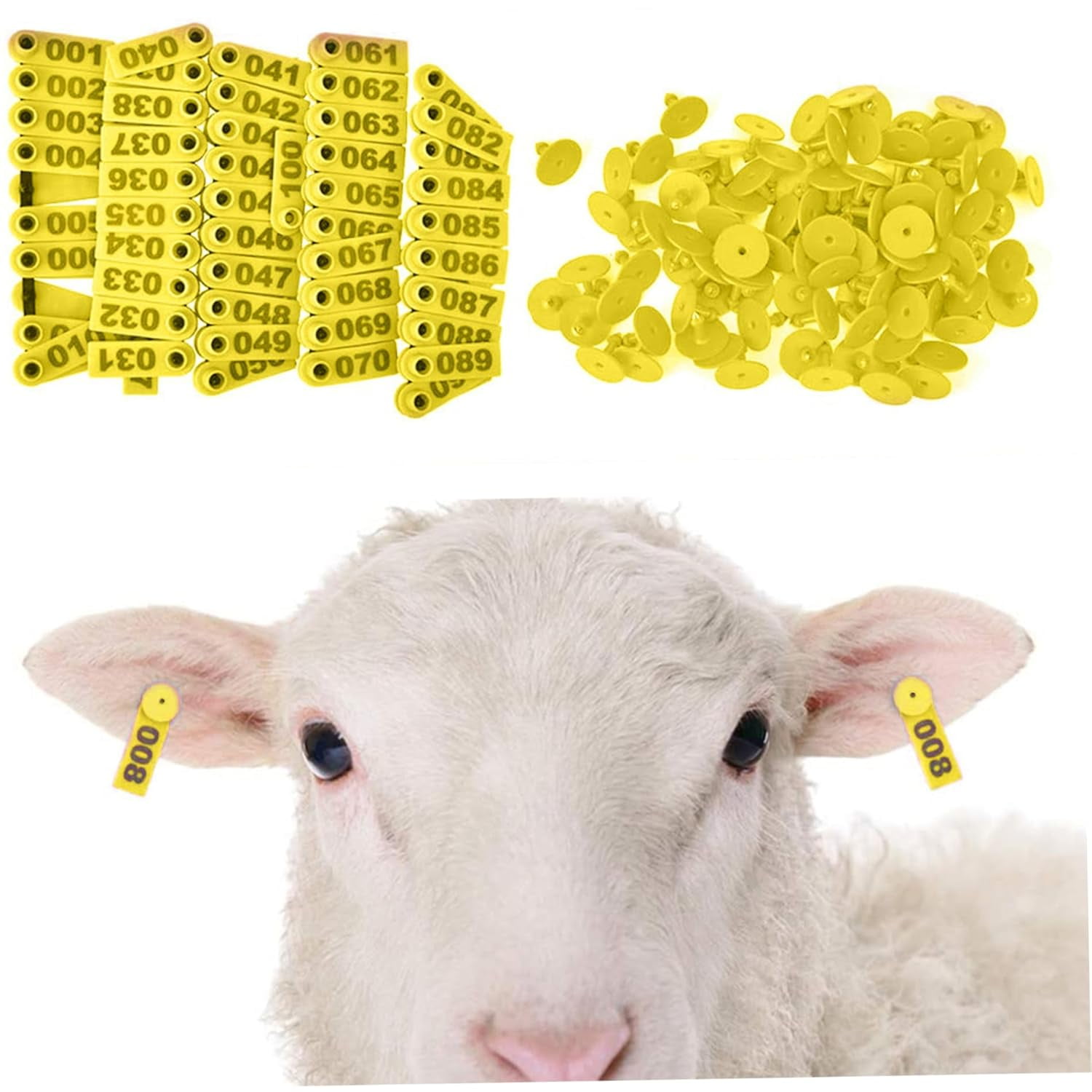 Cattle Ear Tags, 100Pcs Sheep Ear Tags 1-100 Numbers Sturdy Vibrant ...