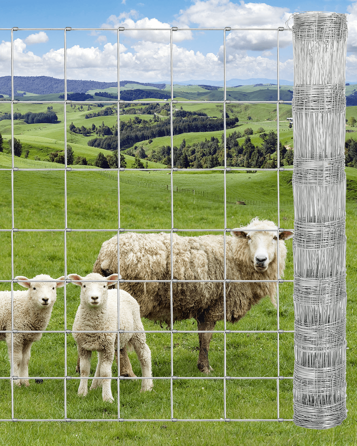 Cattle Fence 6Ft x 328Ft - Heavy Duty Galvanized Wire Fencing for Hog ...