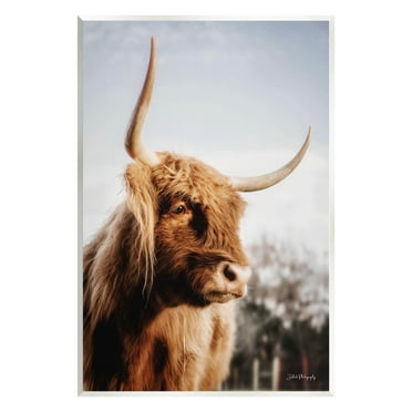 Stupell Industries Highland Cattle Cow Gazing Warm Sunny Portrait ...