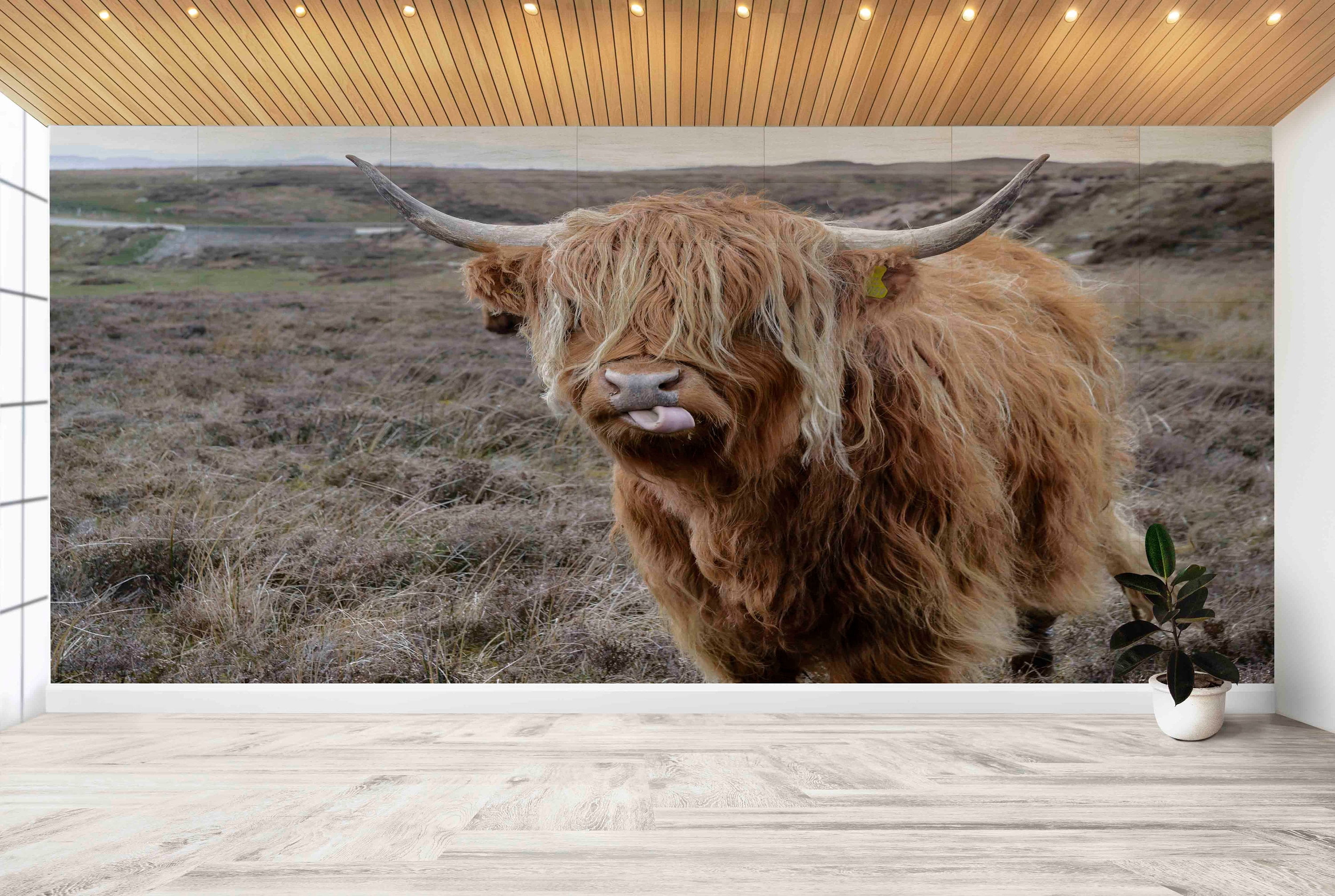 Cattle Horn Wall Poster, Horn Wall Mural, Custom Wallpaper, Bull Wall ...