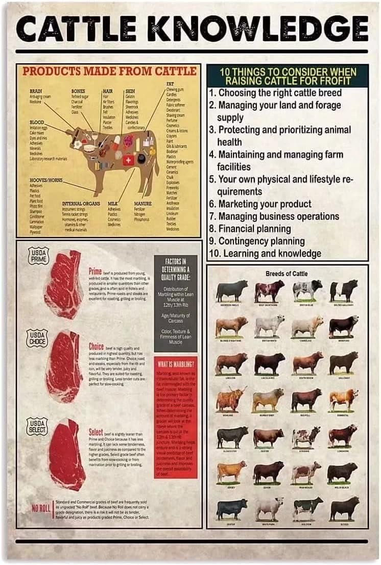 Cattle Knowledge Metal Signs Wall Decor Products Made From Cattle ...