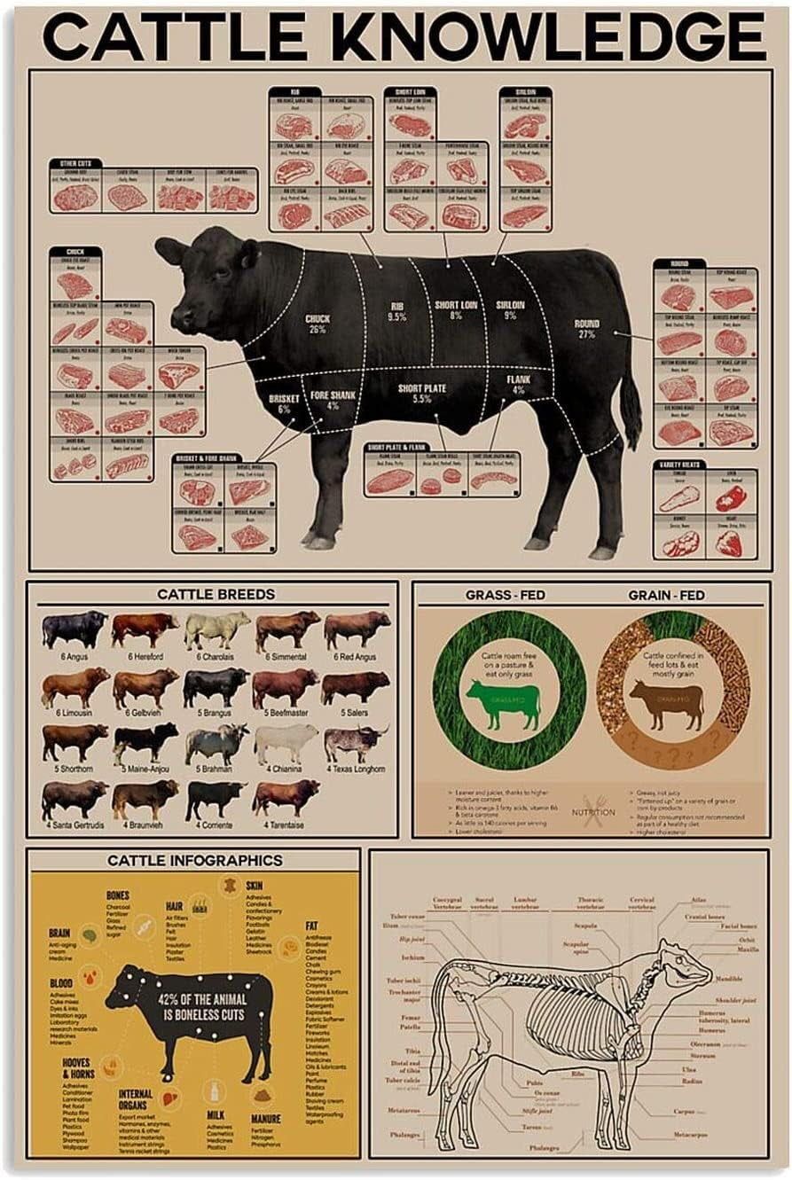 Cattle Knowledge Metal Tin Sign Breed Information Poster Animal Farm ...