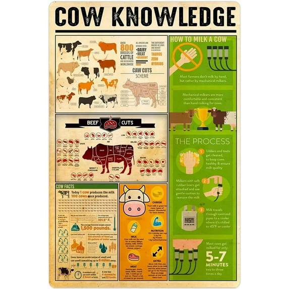 Cattle Knowledge Metal Tin Sign Breed Information Poster Animal Farm Anatomy Club School ...
