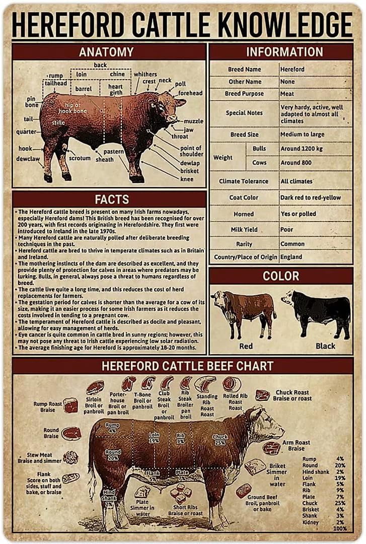 Cattle Knowledge Metal Tin Sign Breed Information Poster Animal Farm ...