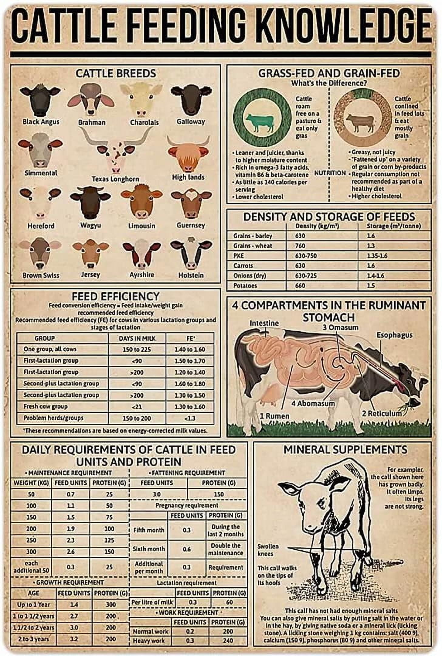 Cattle Knowledge Metal Tin Sign Breed Information Poster Animal Farm ...