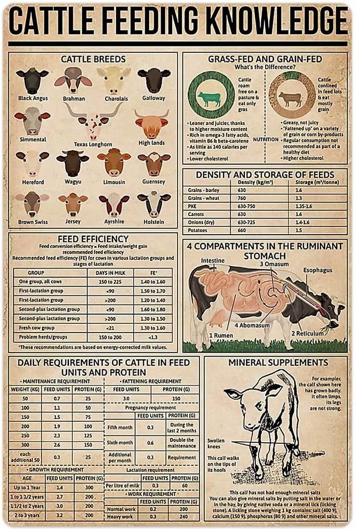 Cattle Knowledge Metal Tin Sign Breed Information Poster Animal Farm ...