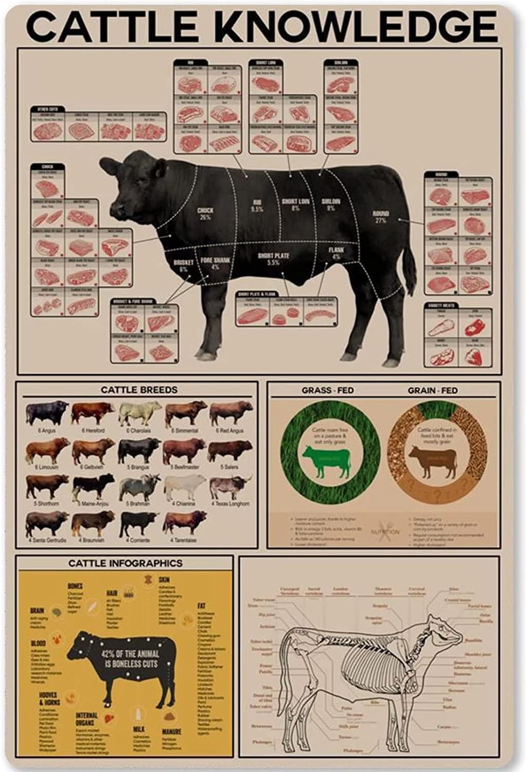 Cattle Knowledge Metal Tin Signs Retro Cattle Infographic Cattle Reference Guide Poster ...