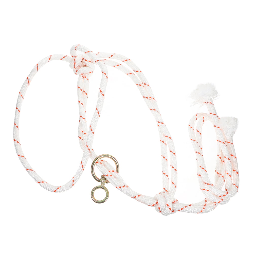 Cattle and Sheep Management Cage Bold Lanyards Cow Halter Protector ...