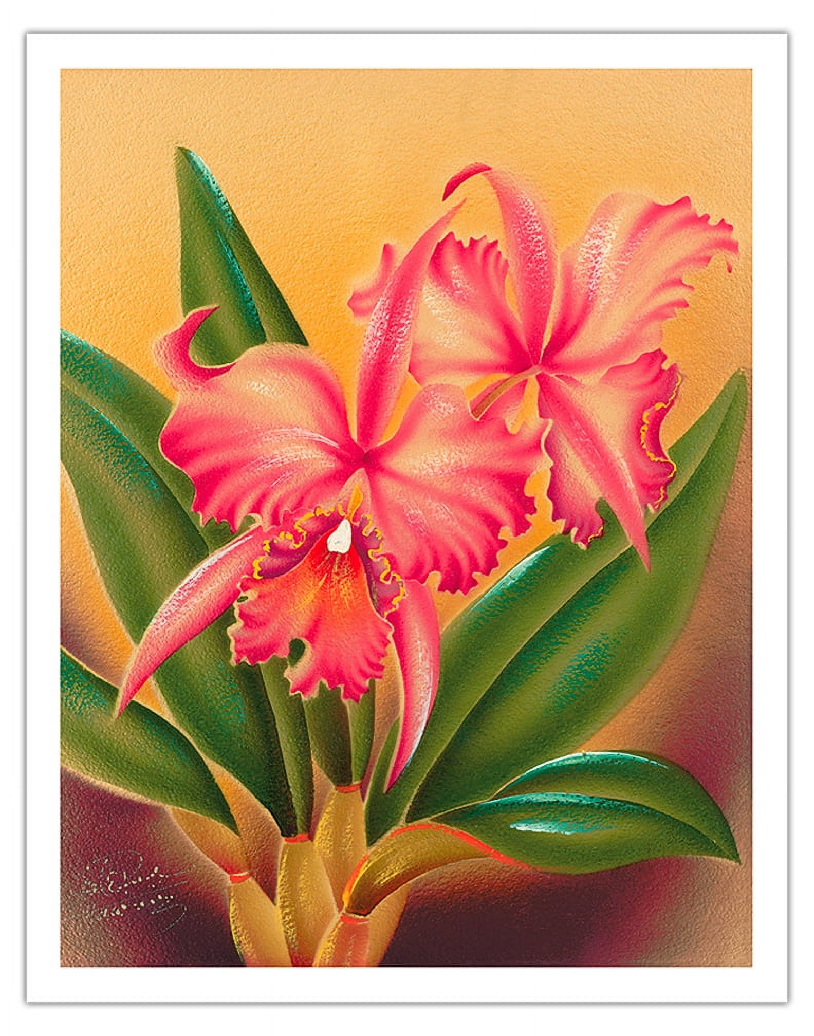Cattleya Orchid Hawai’i - The Queen of Orchids - Vintage Hawaiian ...
