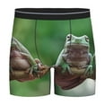 Cauagu Australian White Tree Frog Sitting on Branch Print Men's Boxer ...