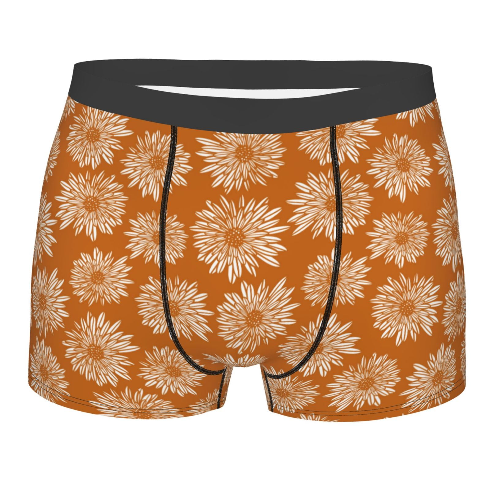 Cauagu Autumn Sunflower Warm Colors Print Boxer Briefs for Men ...