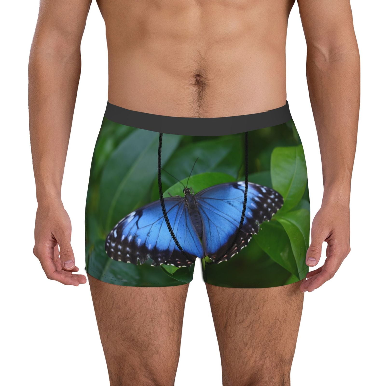 Cauagu Blue Morpho butterfly Print Boxer Briefs for Men,Comfortable Breathable Men's Underwear ...