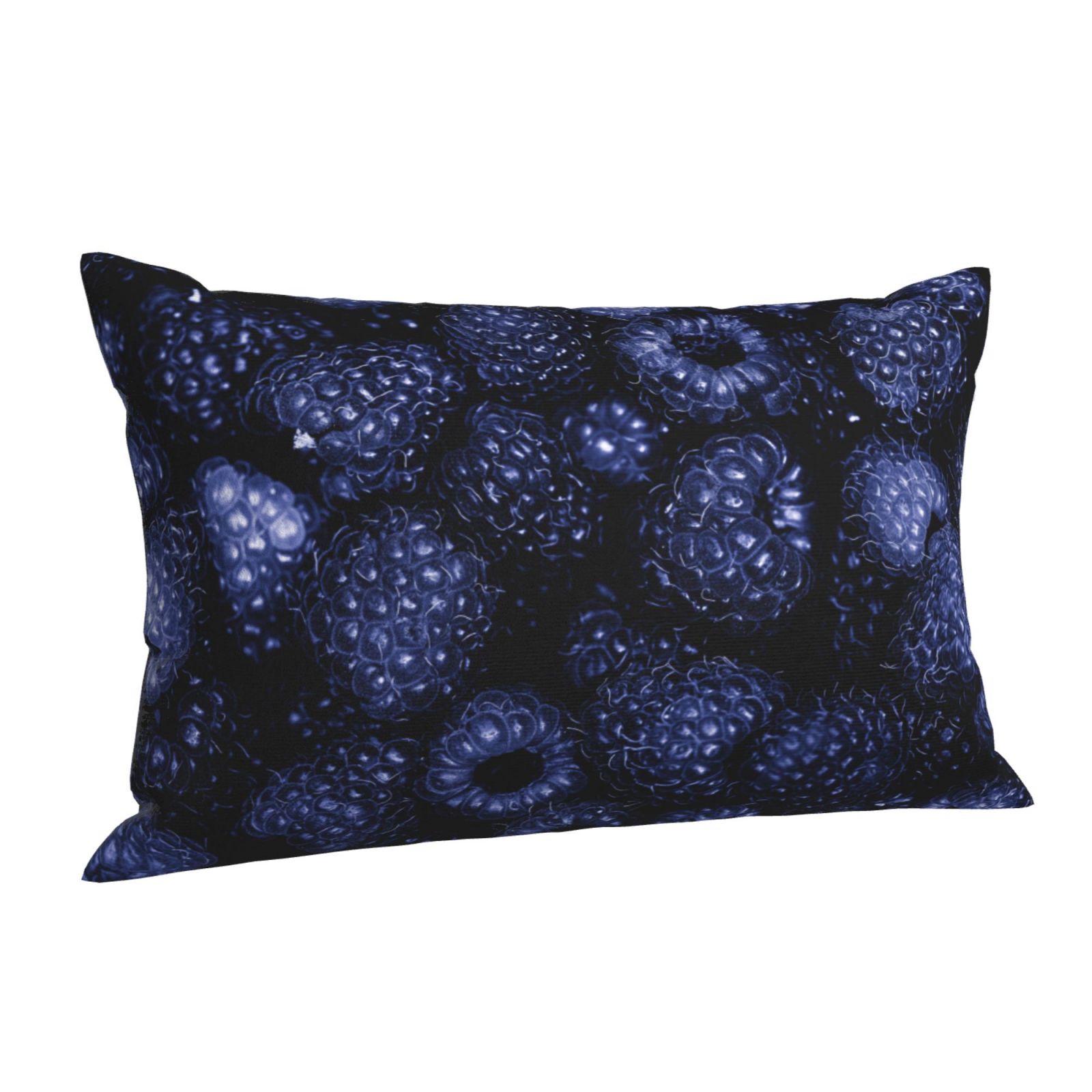 Cauagu Blue-Purple Raspberries Print Pillow Covers with Envelope ...