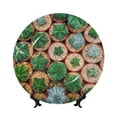 Cauagu Cactus 4 Print Bone China Decorative Plate, Wall Mount Plate ...