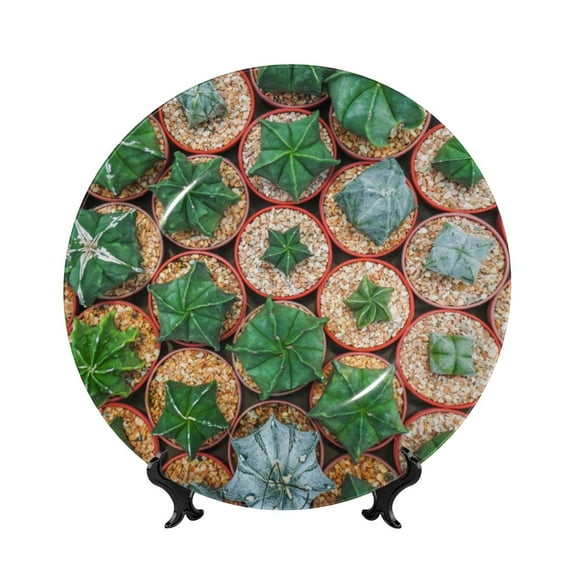 Cauagu Cactus 4 Print Bone China Decorative Plate, Wall Mount Plate ...