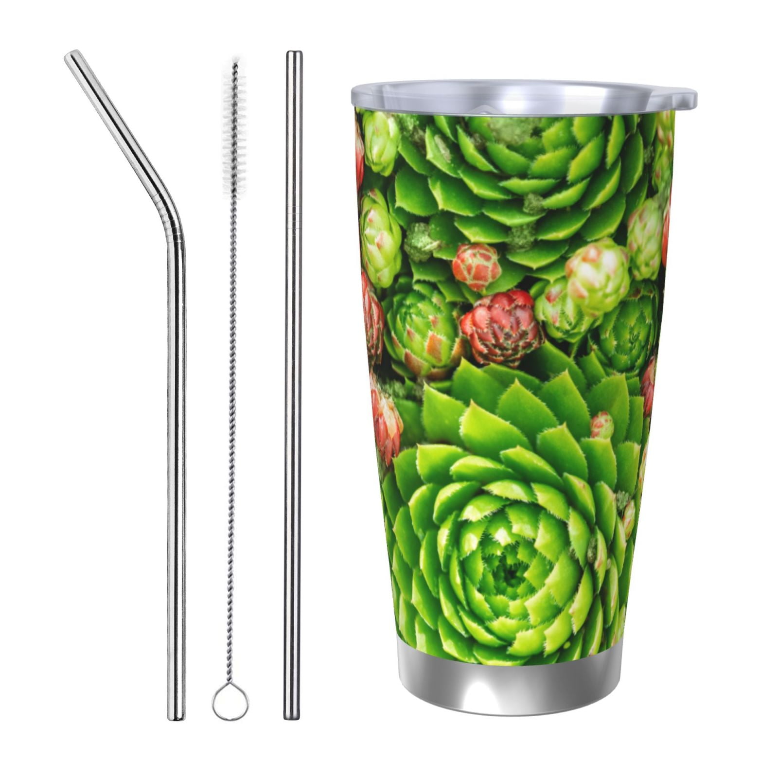 Cauagu Cactus And Succulents Pattern 20oz Tumbler,Stainless Steel ...
