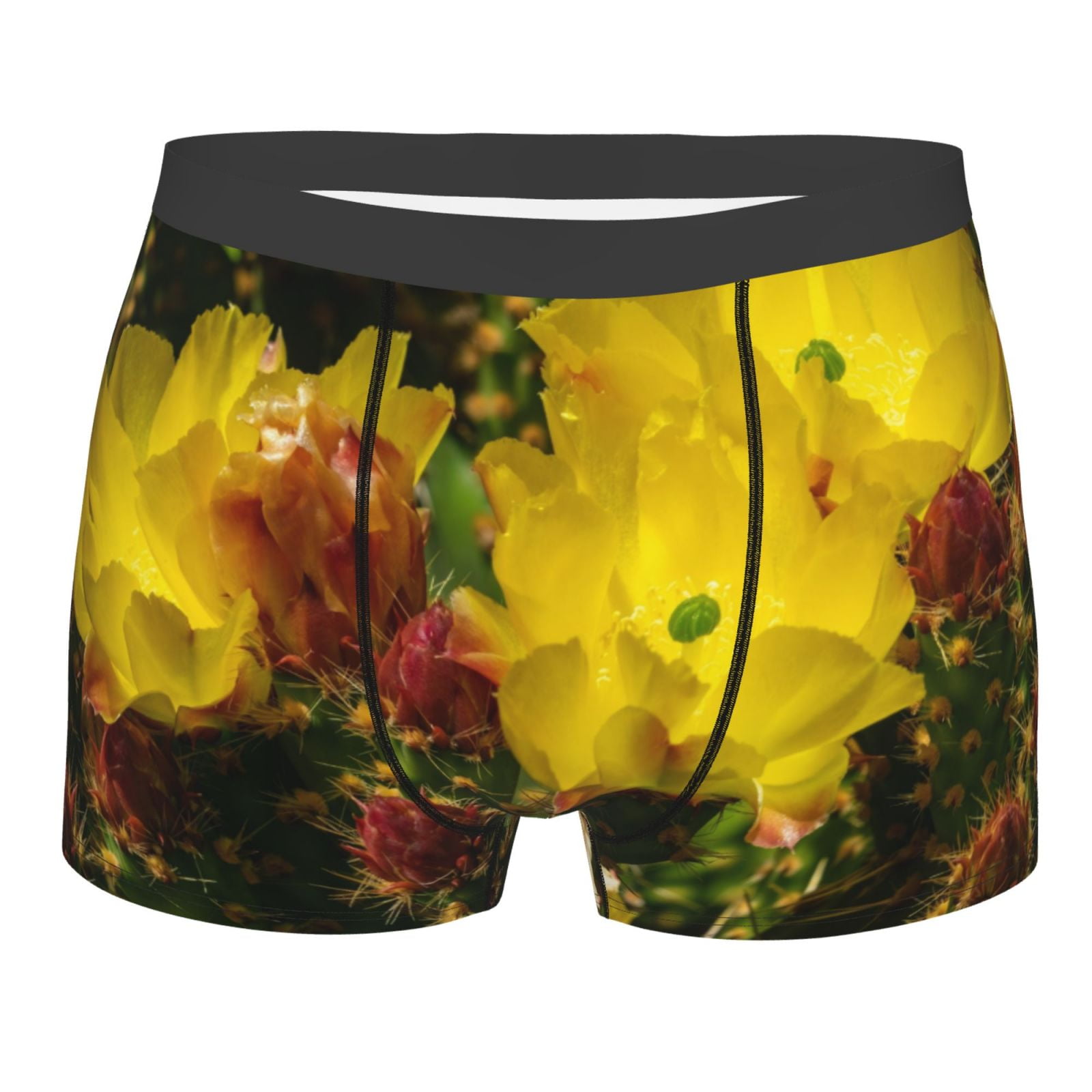Cauagu Cactus Flowers Print Boxer Briefs for Men,Comfortable Breathable ...