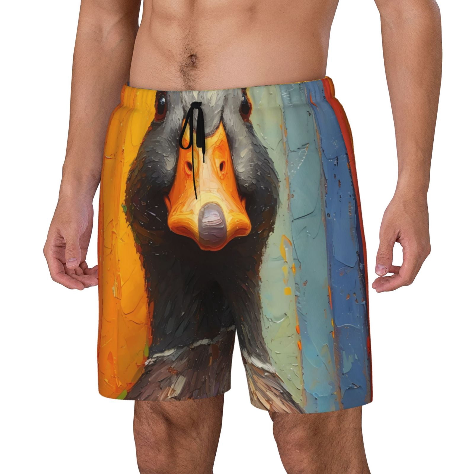Cauagu Colorful Painted Duck Print Mens Swim Trunks Quick Dry Board ...