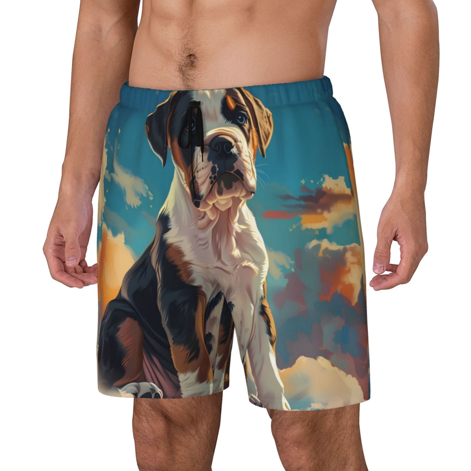 Cauagu Colorful Sky Puppy Print Mens Swim Trunks Quick Dry Board Shorts ...