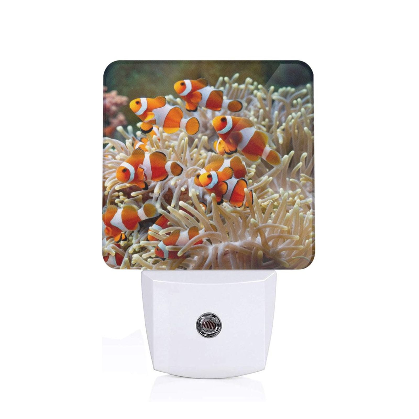 Cauagu Cute Anemone Fish Print LED Nightlight,0.5W Night Lights Plug ...