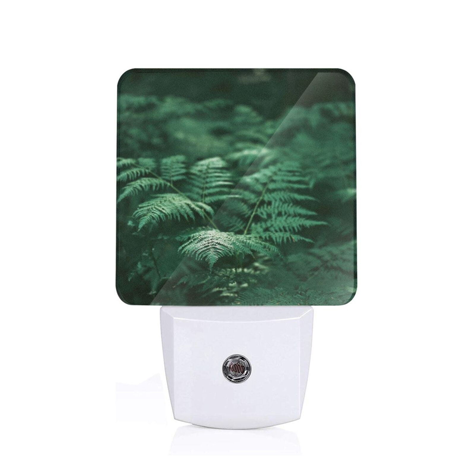 Cauagu Ferns Leave Green Foliage Print LED Nightlight,0.5W Night Lights ...