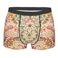 Cauagu Indian Paisley 1 Print Boxer Briefs for Men,Comfortable ...