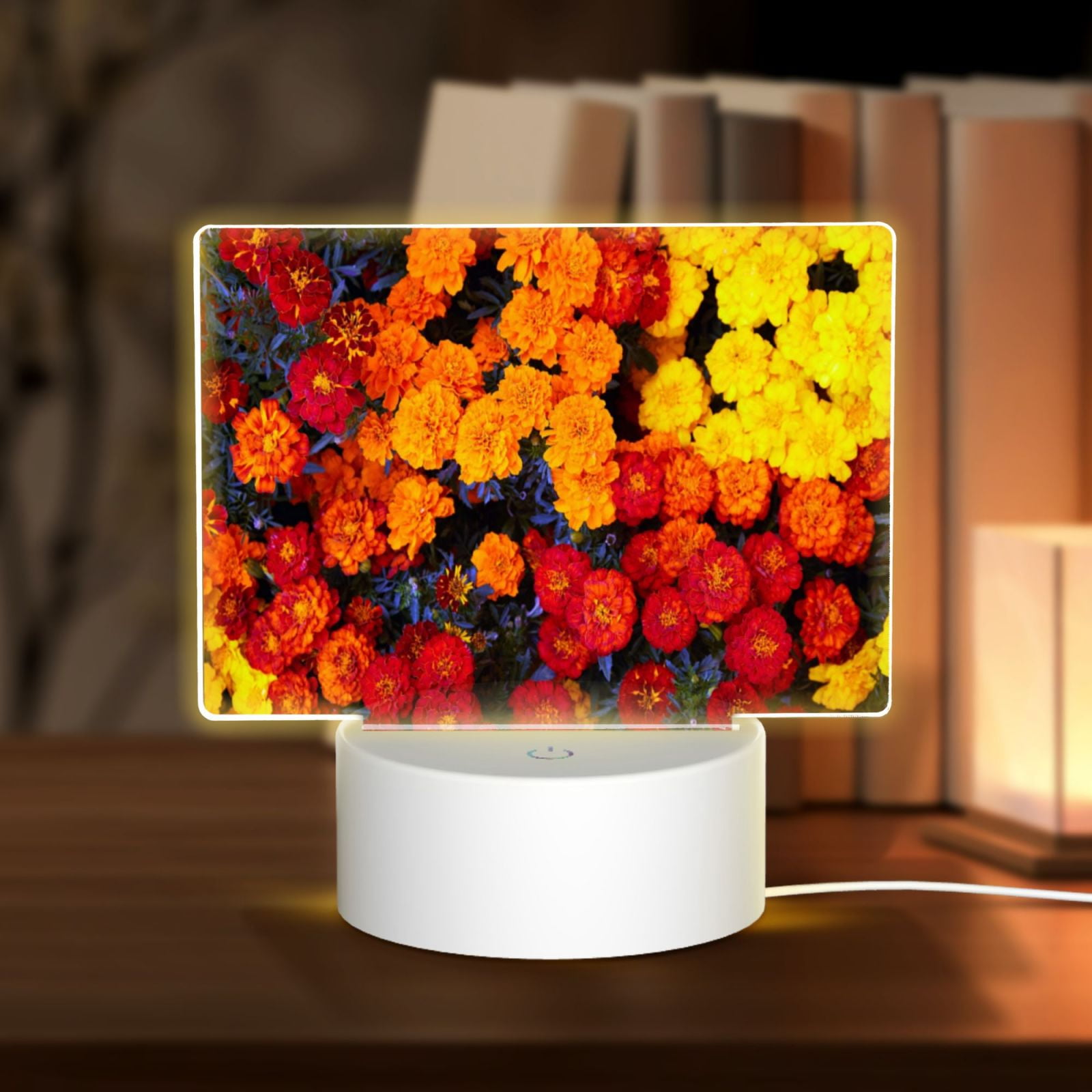 Cauagu Marigold Flowers In Different Colors for Rectangle Acrylic Night ...