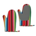 Cauagu Mexican Serape Blanket Stripes Print Oven Mitts 2 Piece Set,BBQ ...
