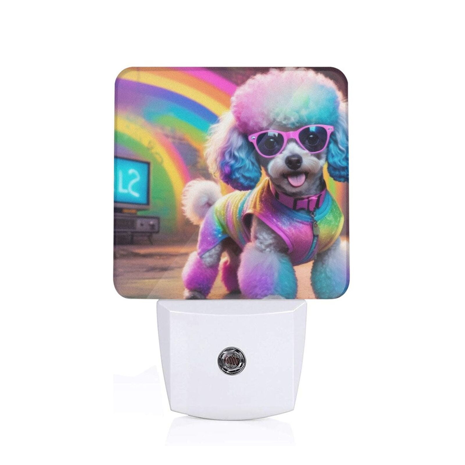 Cauagu Rainbow Poodle Urban Street Print LED Nightlight,0.5W Night ...