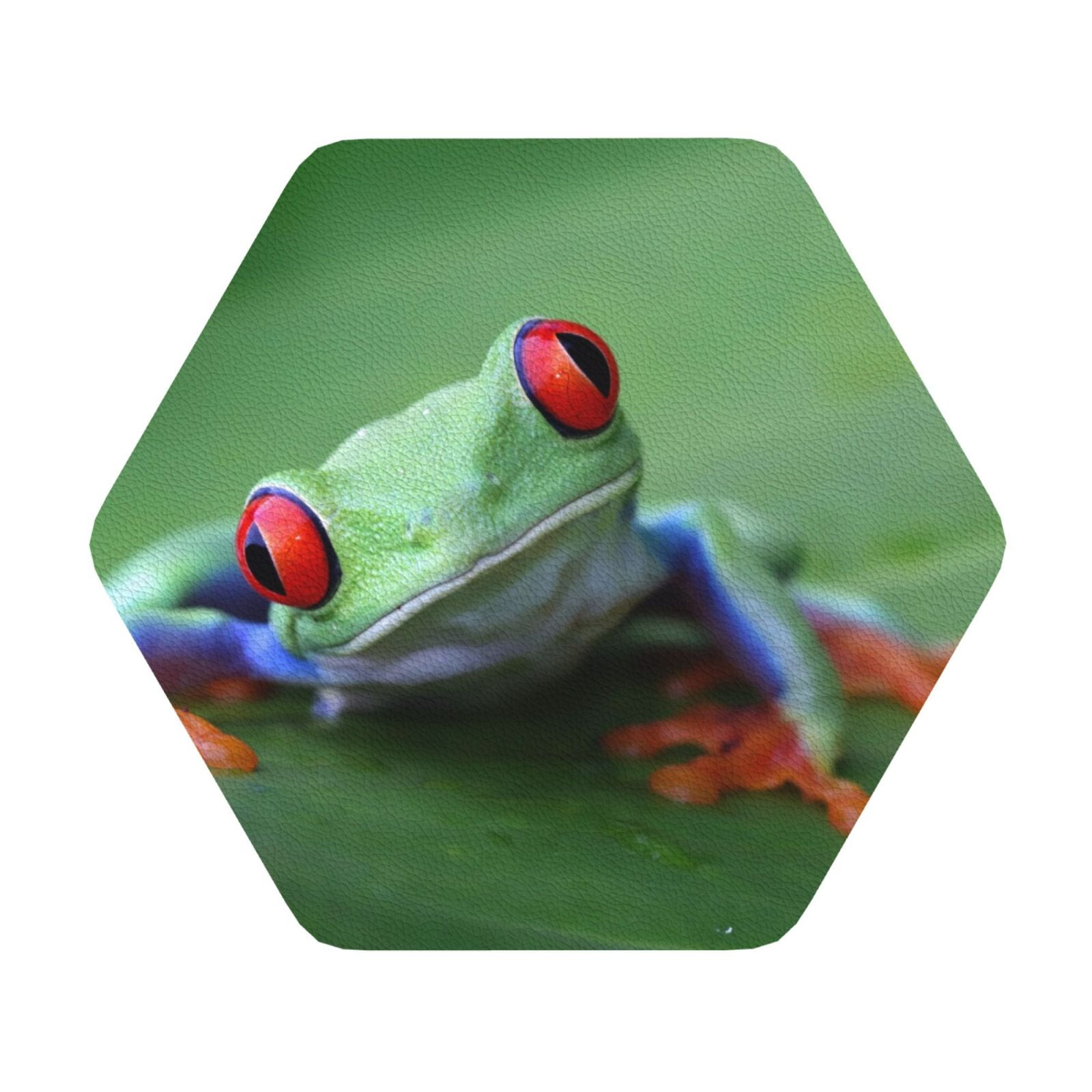 Cauagu Red-Eyed Tree Frog-1 for Round Coaster,Drink Coasters Set of 4 ...
