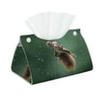 Cauagu Squirrel for Large Tissue Box Cover Rectangular–Plus Size ...
