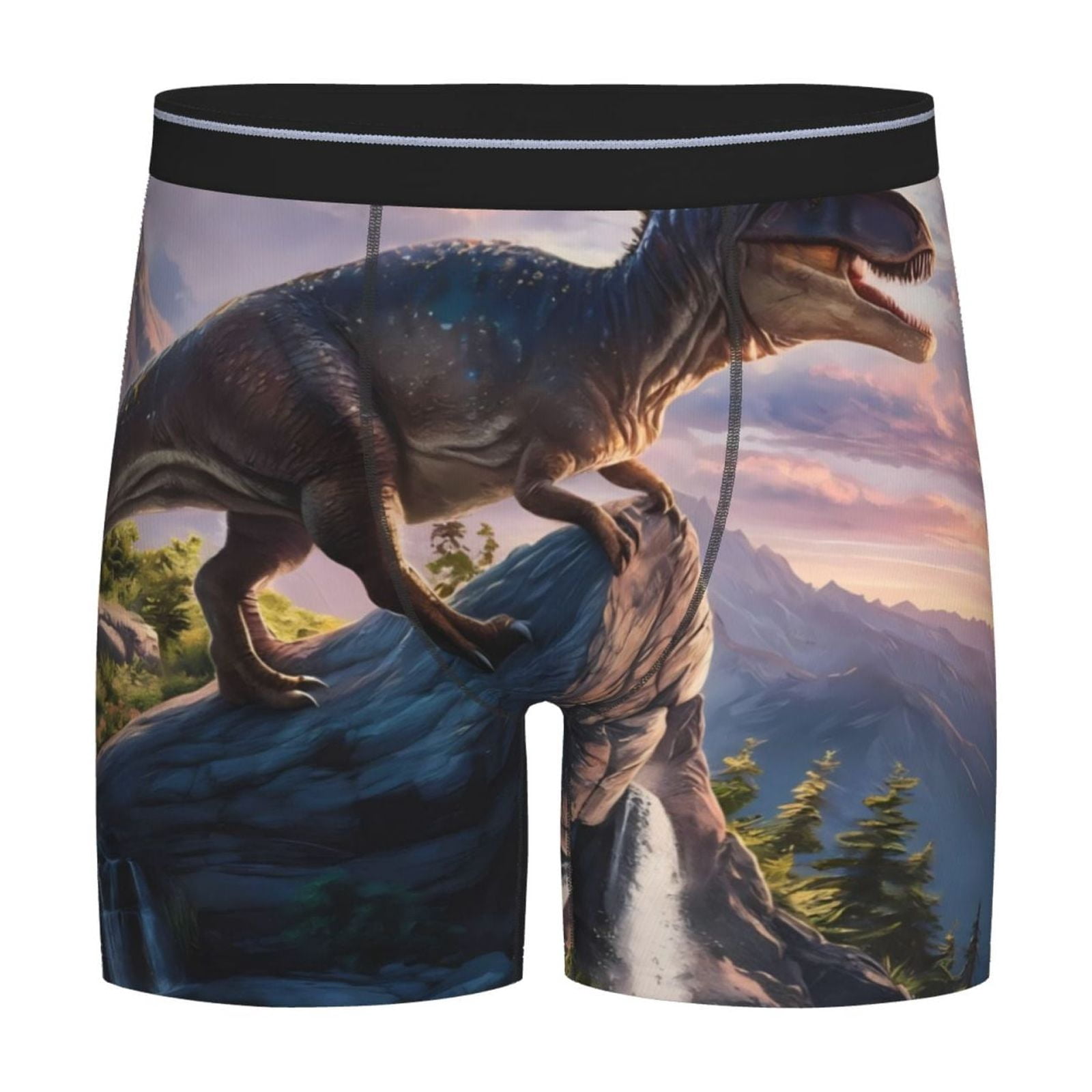 Cauagu Sunset Cliff Dinosaur Print Men's Boxer Briefs, Funny & Cute ...