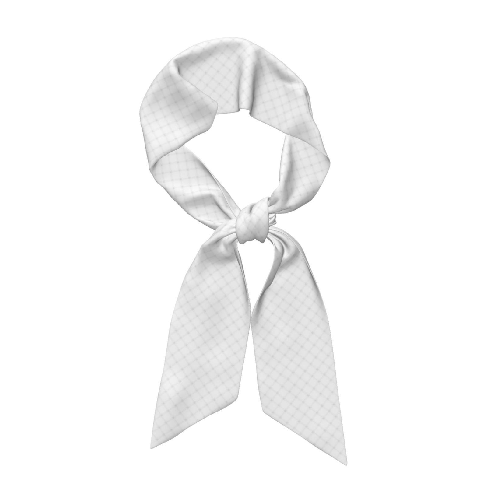 Cauagu Travel Around The World Airplane Pattern Scarf for Women,Neck ...