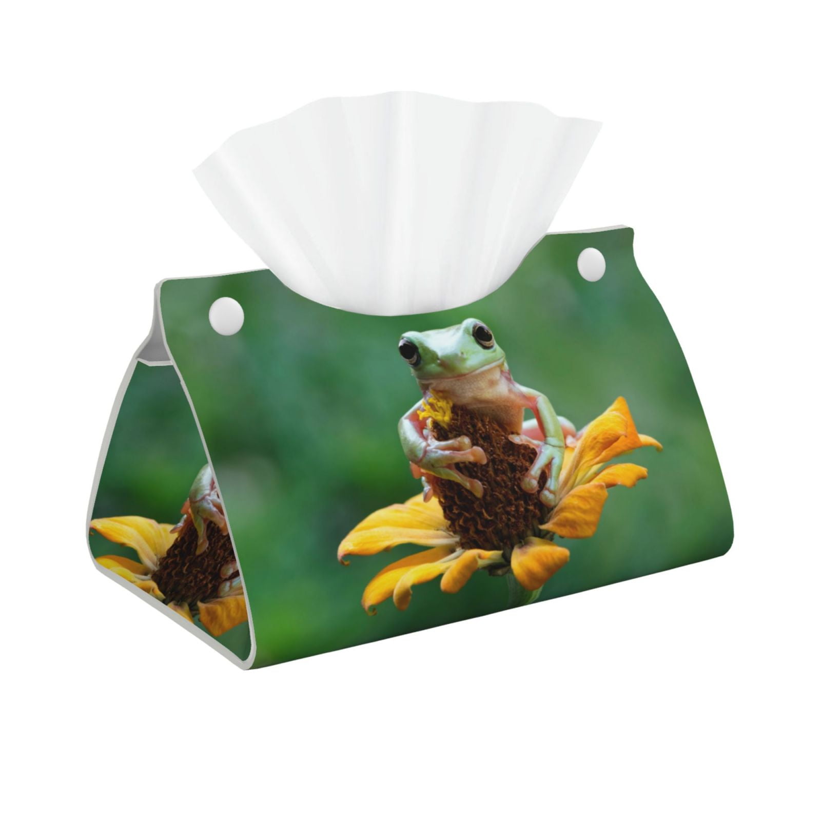 Cauagu Tree Frog Sitting On Sunflowes for Large Tissue Box Cover ...