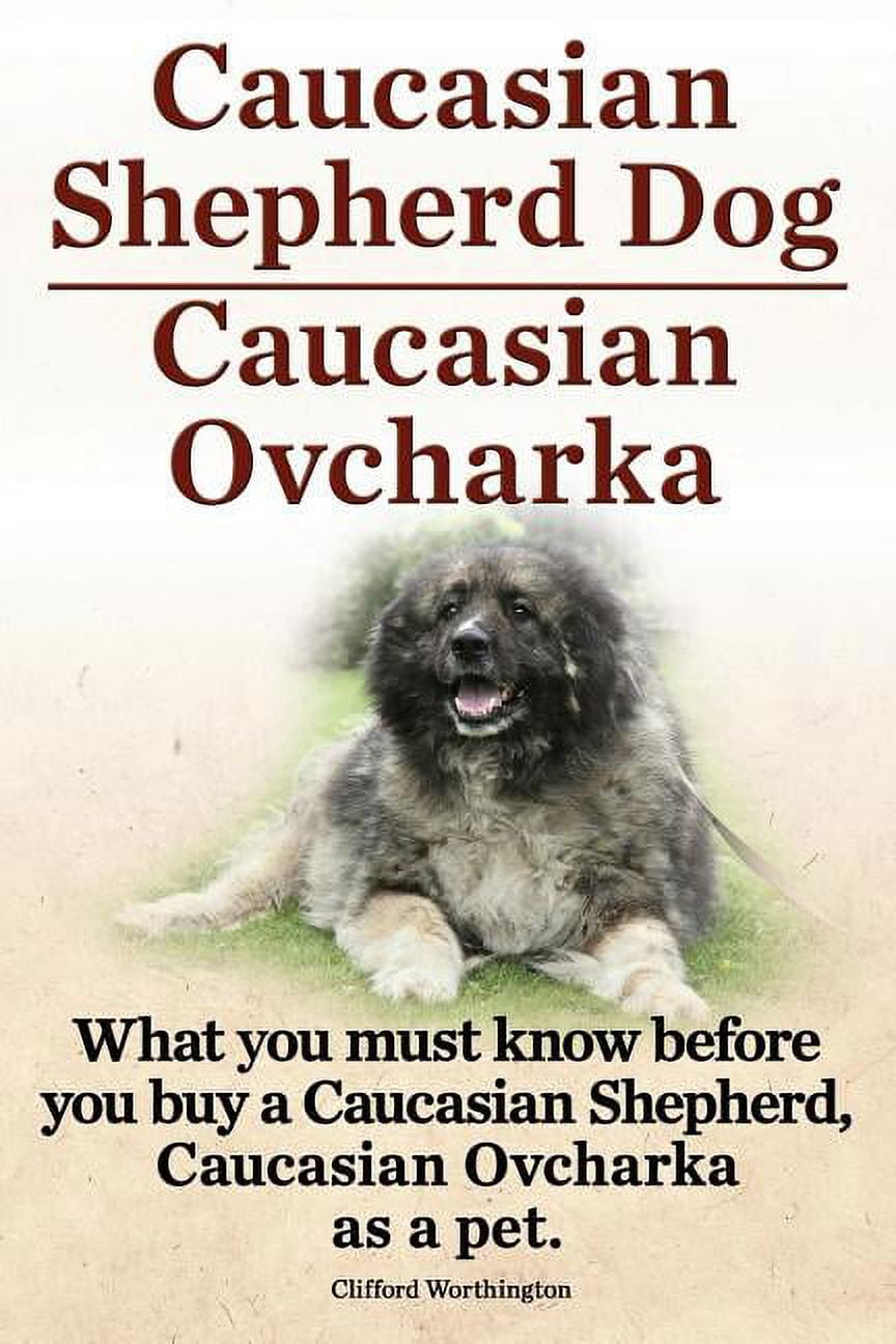 Caucasian Shepherd Dog. Caucasian Ovcharka. What You Must Know Before ...