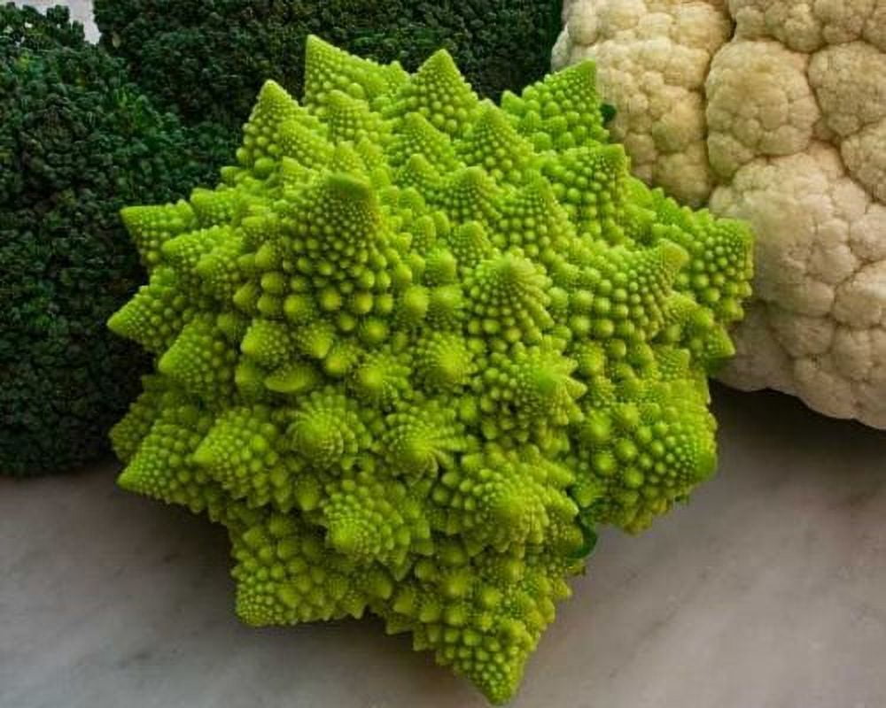 Cauliflower Minaret Romanesco Great Heirloom Vegetable 15 Seeds ...