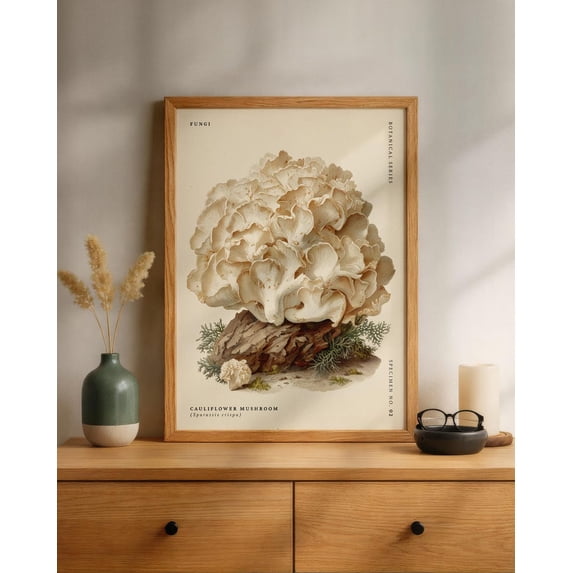 Cauliflower Mushroom poster Wall Art Decor 8x12 UNFRAMED - Walmart.com
