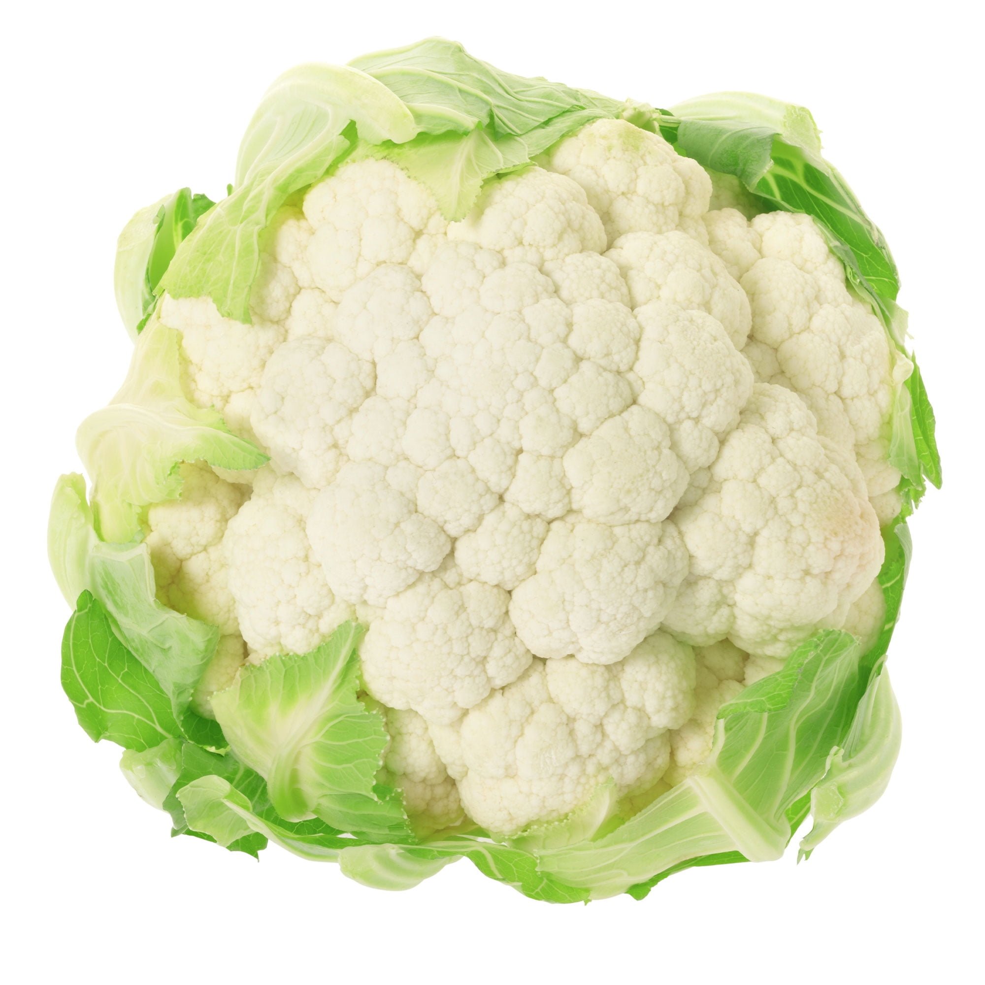 Cauliflower Seeds - Igloo - 1 Oz ~9,000 Seeds - Brassica oleracea var ...