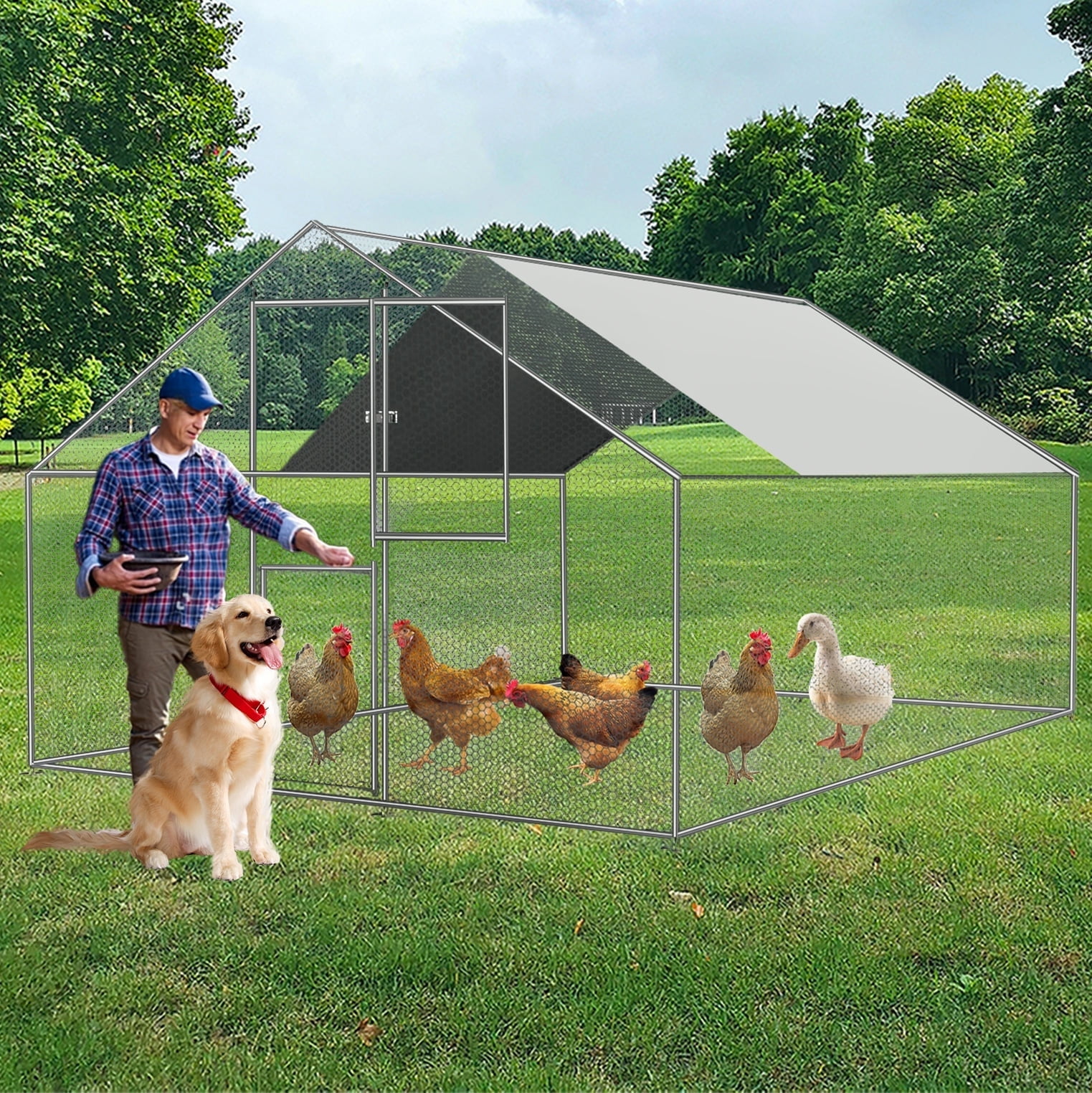 Caulitar 10 X 10FT Large Metal Chicken Coop Walk-in Poultry Cage ...