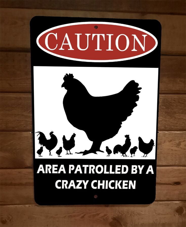 Caution Area Patrolled by a Crazy Chicken metal aluminium Wall Sign (12 ...