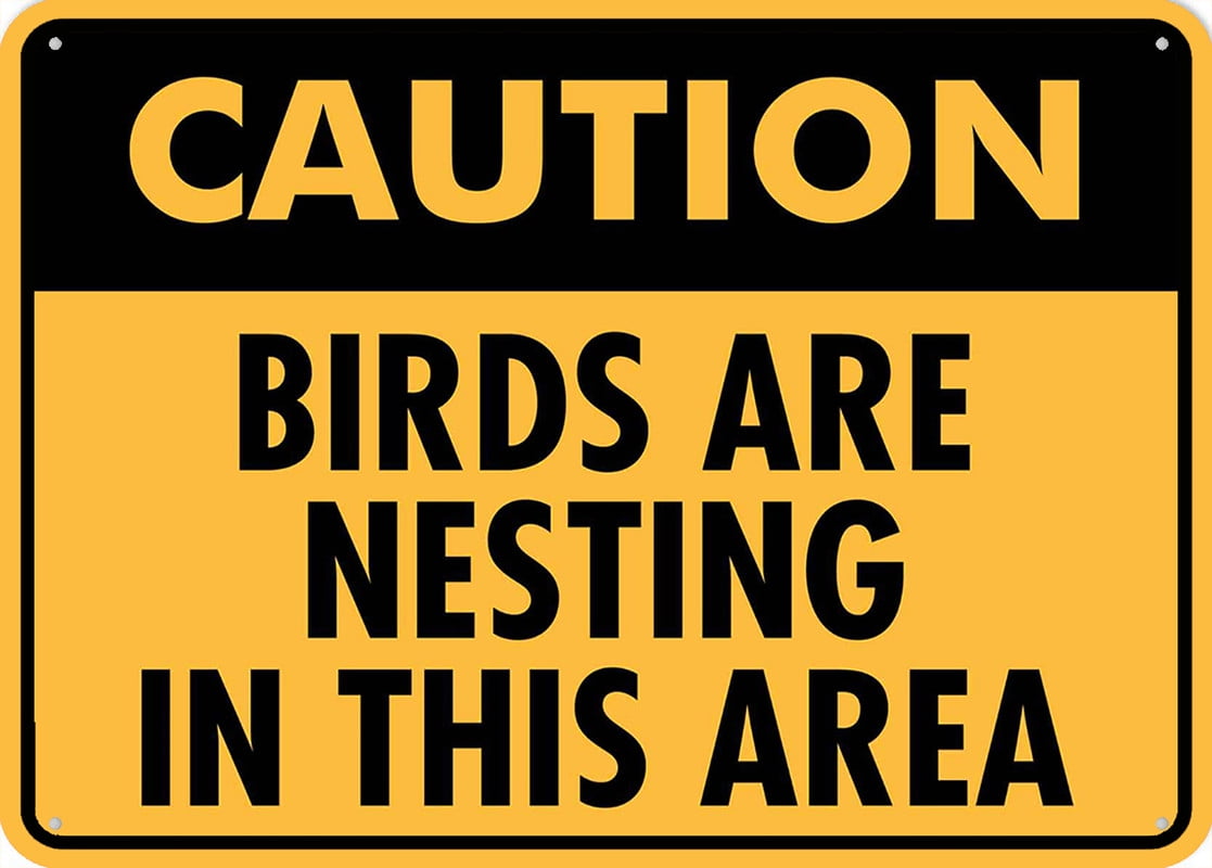 Caution Birds Are Nesting In This Area Sign Outdoor, Uv Printed Rust ...