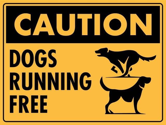 Caution Dogs Running Free Sign Restriction Alert Attention Caution ...