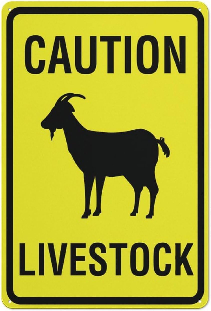 Caution Livestock Goat Bright Yellow 12 X 8 Inches Reflective Aluminum ...