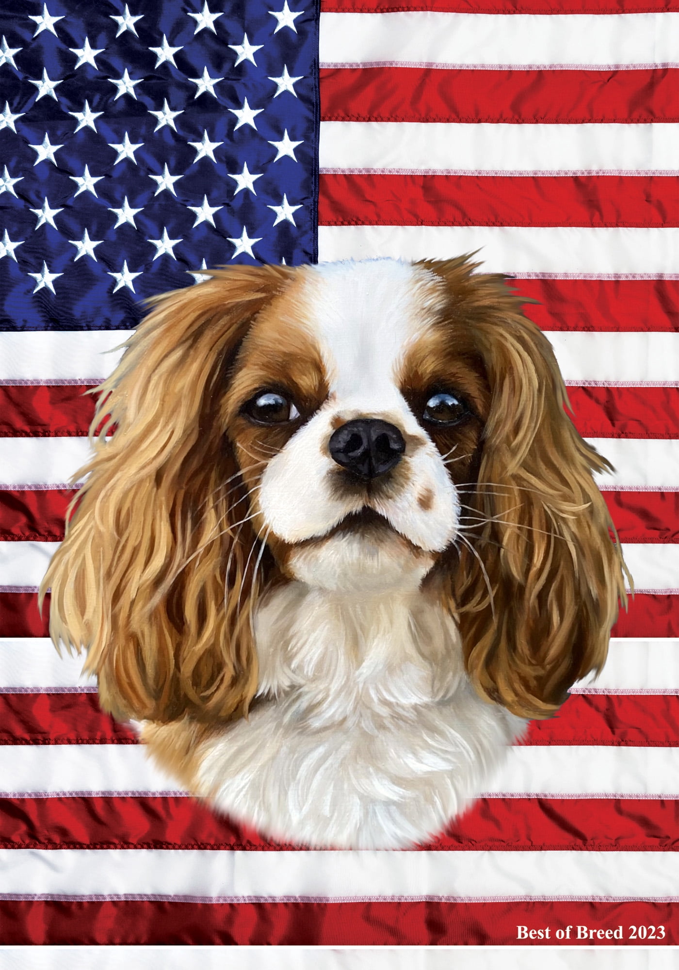 Cavalier King Charles Blenheim - Best of Breed All-American III House ...