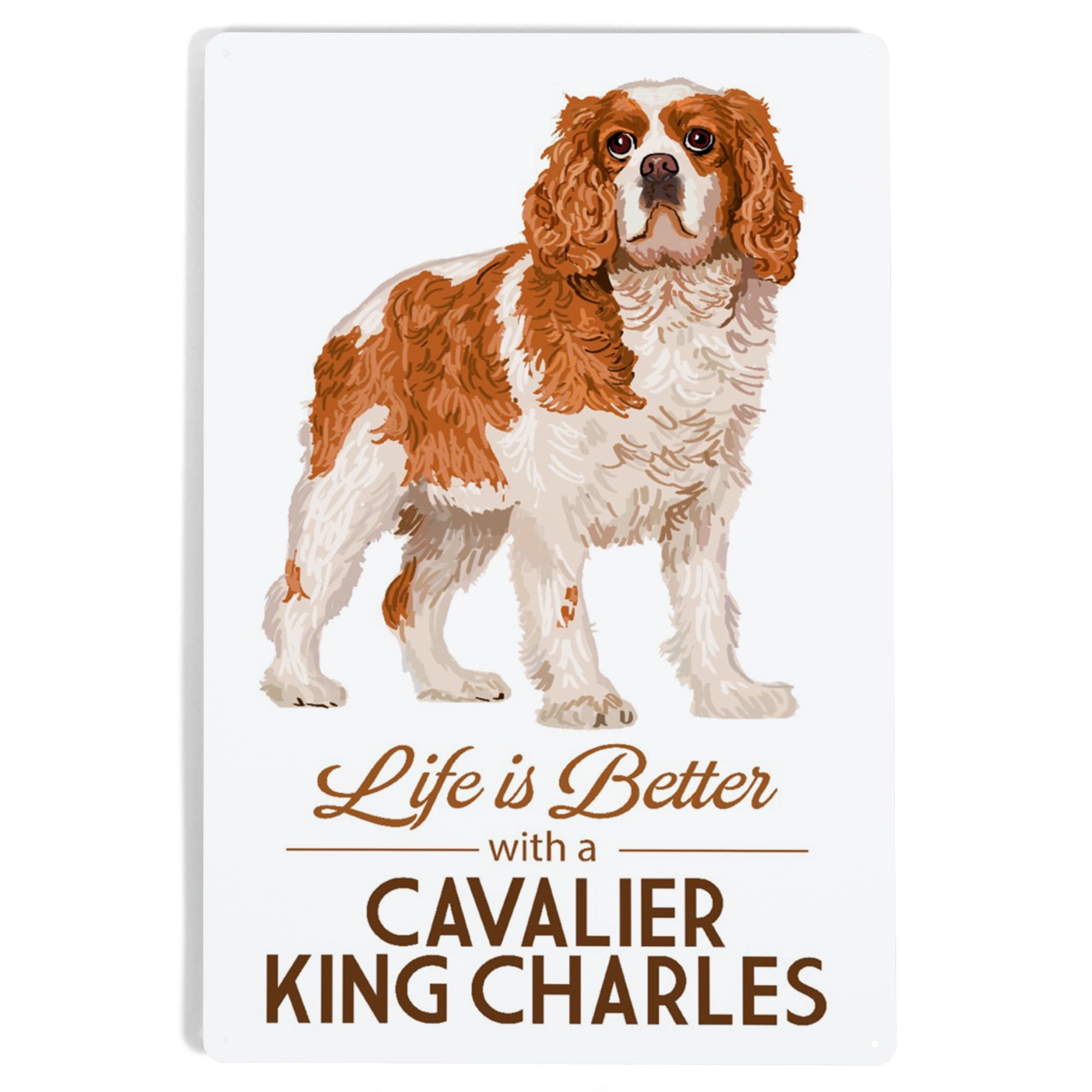 Cavalier King Charles, Life is Better, White Background (12x18 Aluminum ...