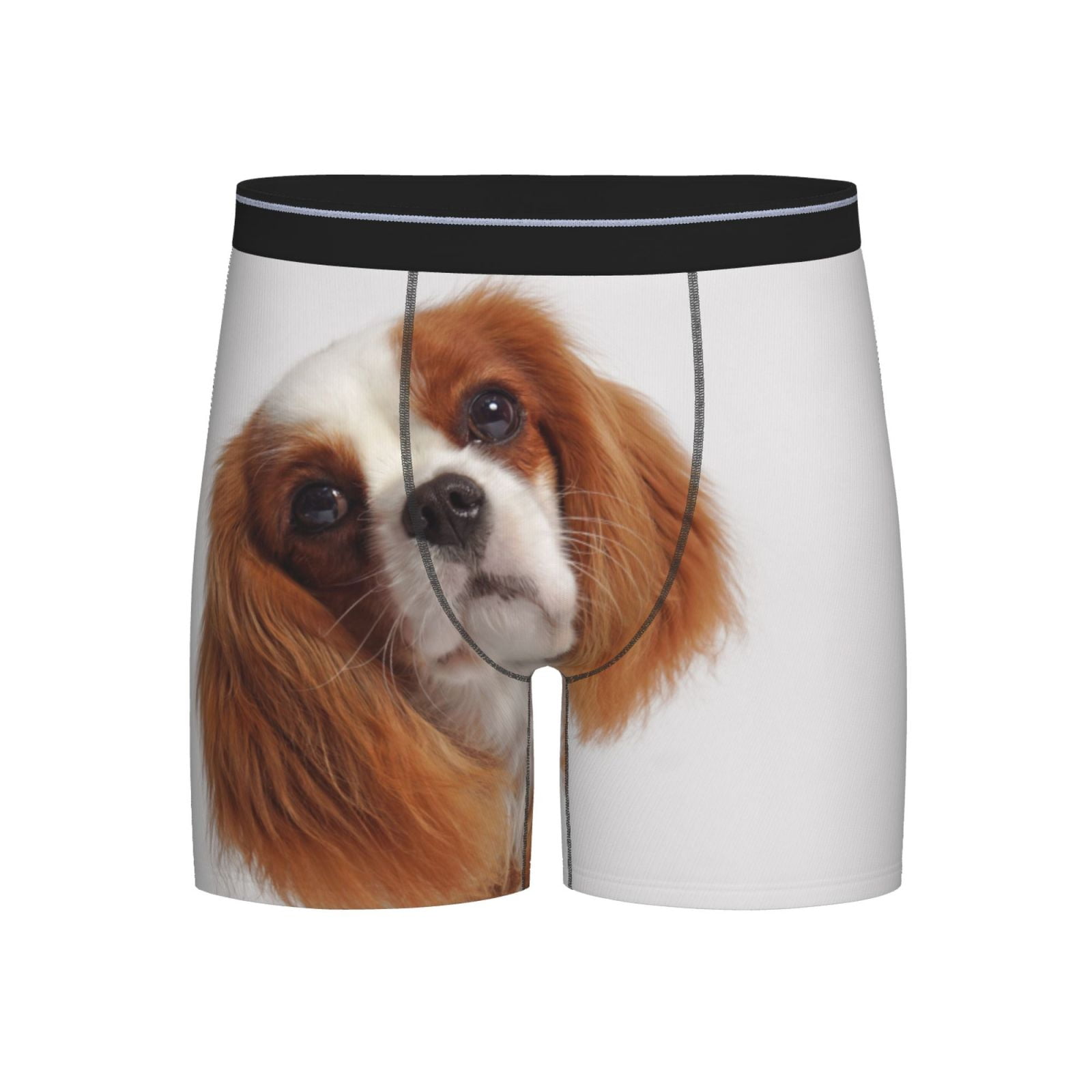 Cavalier King Charles Spaniel (2) Underwear For Men,Soft Boxer Briefs ...