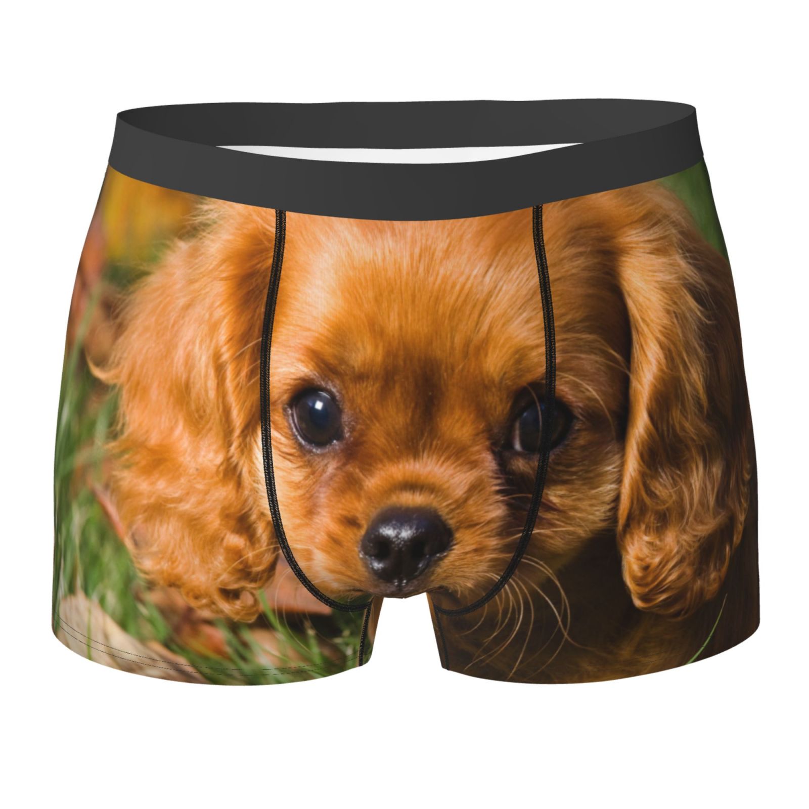 Cavalier King Charles Spaniel Brown Curly Dogs Underwear For Men,Soft ...