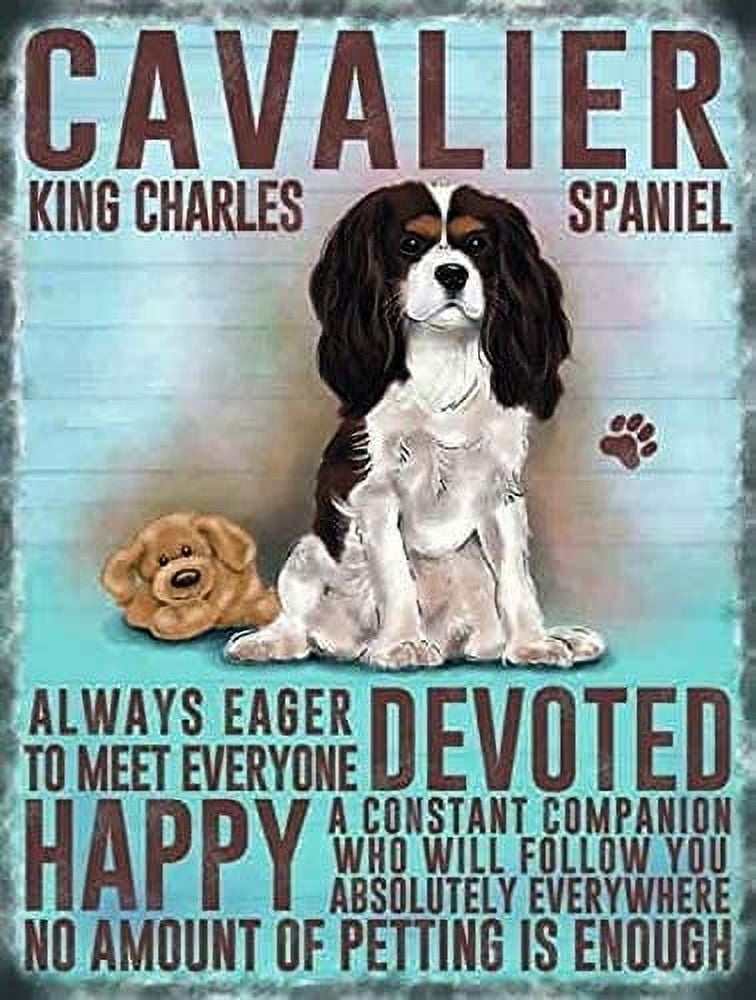 Cavalier King Charles Spaniel Dog Animal Metal Sign TIN Plaque Print ...