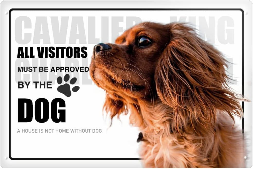 Cavalier King Charles Spaniel Funny Dog Pet Lover Metal Tin Sign All ...